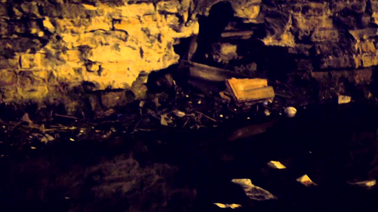 Saatchi Brazil celebrates garbage men as 20km ‘Invisible Runners’ for ...