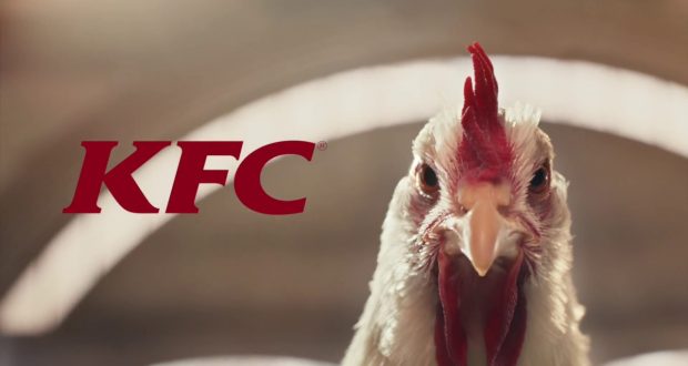 Mother give us the whole chicken – but is that enough? - More About ...