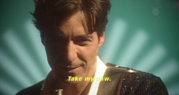 AMV unveils cat-loving crooner for Mars’ Sheba - More About Advertising