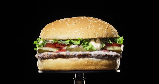 A revolting ‘moldy’ Whopper is hero of new Burger King ‘no ...