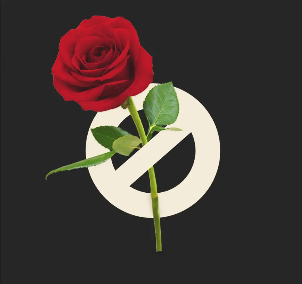 Bloom & Wild ditches clichéd red roses on Valentine’s Day in new ...