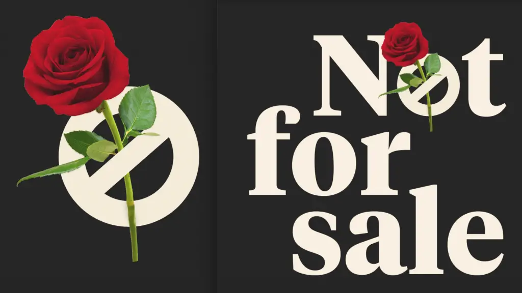 Bloom & Wild ditches clichéd red roses on Valentine’s Day in new ...