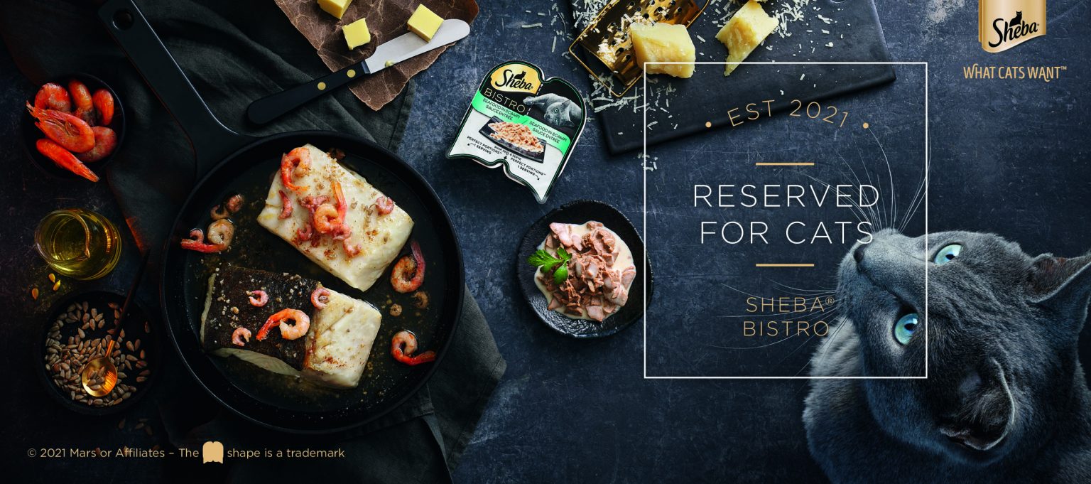 AMV gives new Sheba campaign the gourmet treatment - More About Advertising