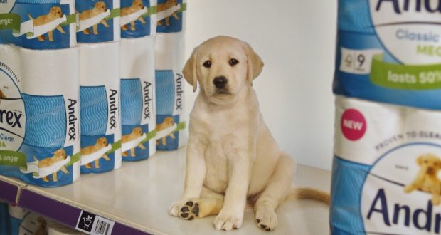 Andrex puppy turns 80 with retro-style FCB ad - More About Advertising