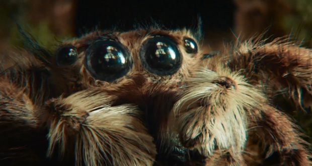 Samsung’s spider wins Epica film award - More About Advertising