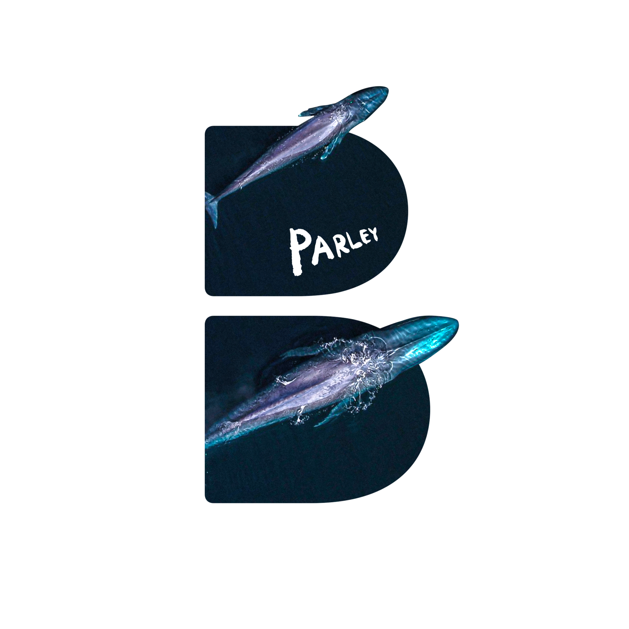 DDB Worldwide named as Parley for the Oceans creative partner - More ...