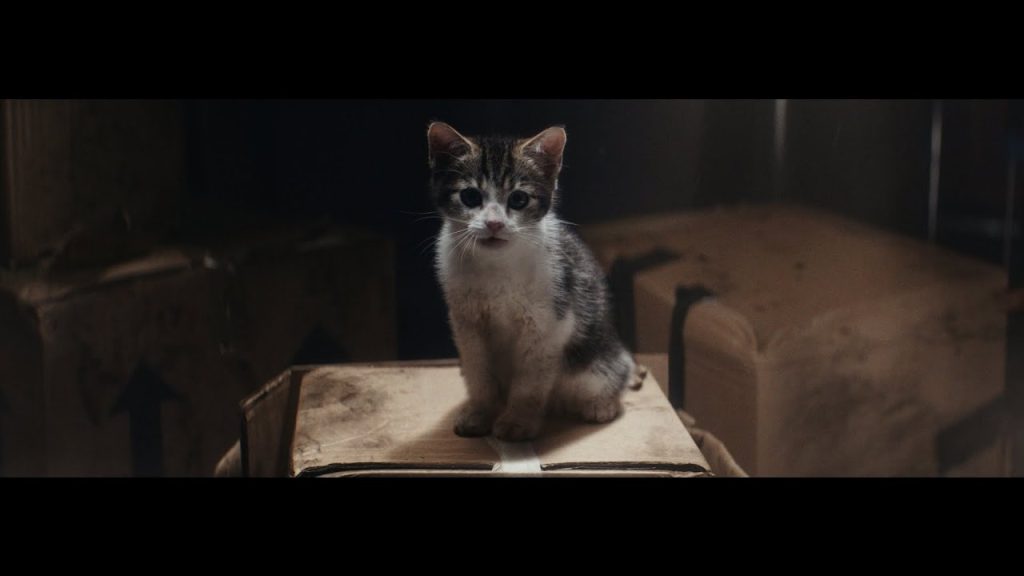 AMV BBDO tunes into ‘respect’ for RSPCA - More About Advertising