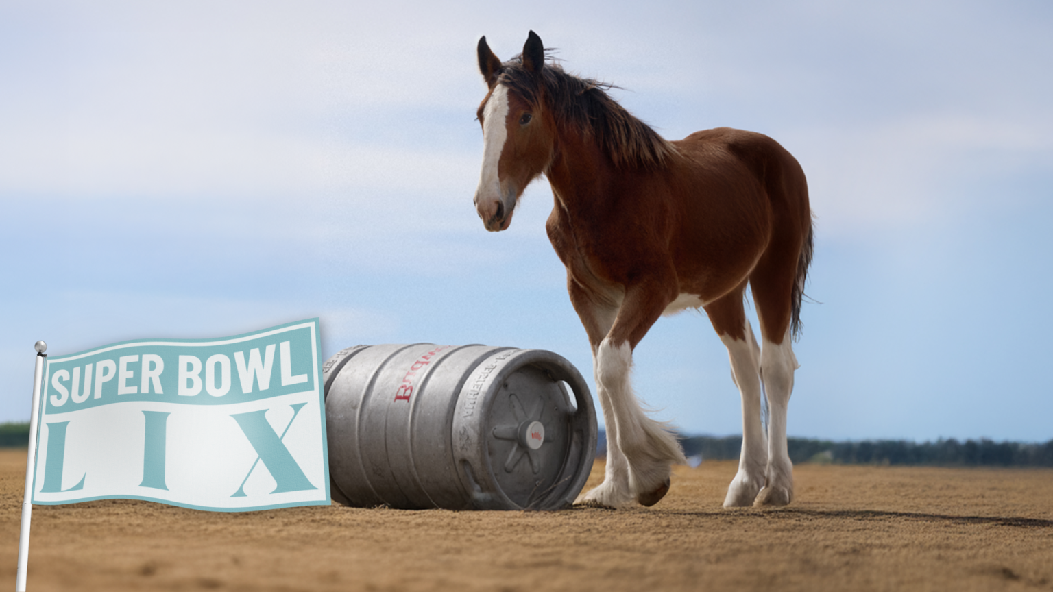 A Horse Walks Into A Bar Budweiser Cracks Super Bowl again More